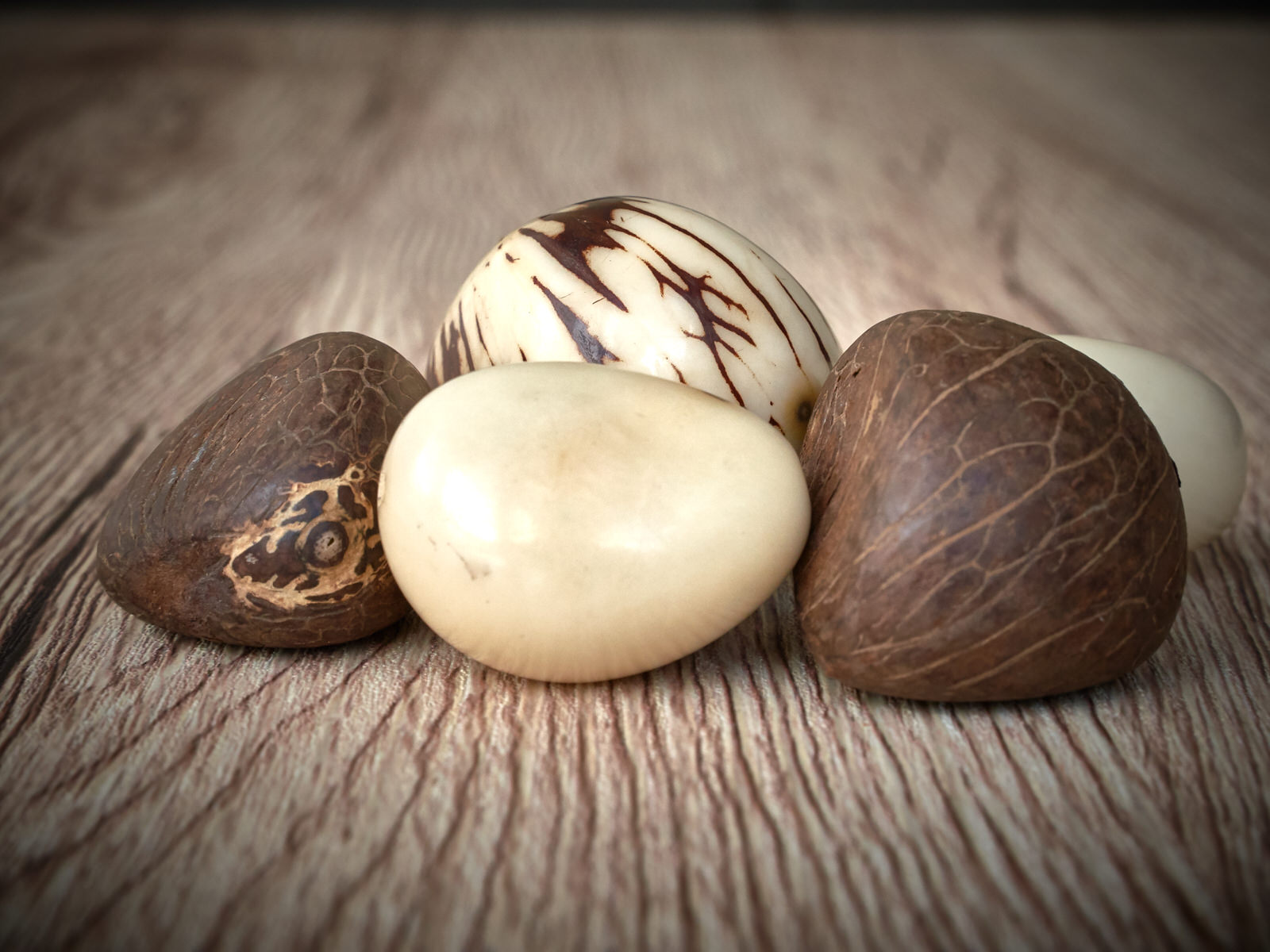 Fighting social injustice with Arlokea